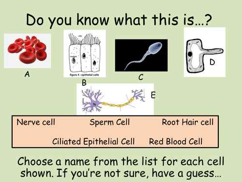 AQA 2016 Cell Biology- Cells | Teaching Resources