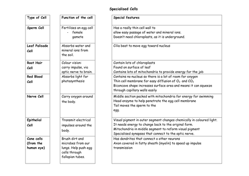 AQA 2016 Cell Biology- Cells | Teaching Resources