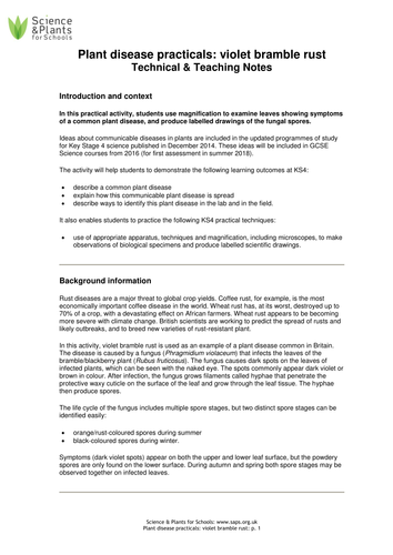 New GCSE Biology - plant disease practical - violet bramble rust ...