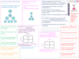 B2 Cell Division and Inheritance Revision Mat | Teaching Resources
