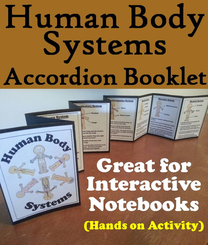 Human Body Systems Task Cards and Activities Bundle | Teaching Resources