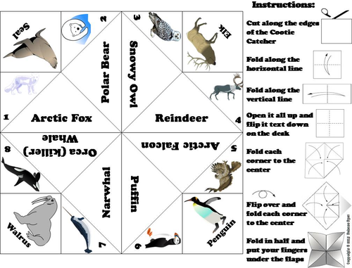 Arctic Animals Cootie Catchers | Teaching Resources