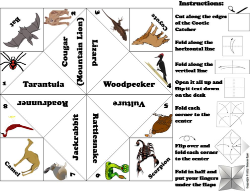 Desert Animals Cootie Catchers | Teaching Resources