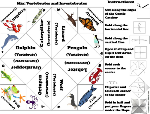 Vertebrates and Invertebrates Cootie Catchers | Teaching Resources