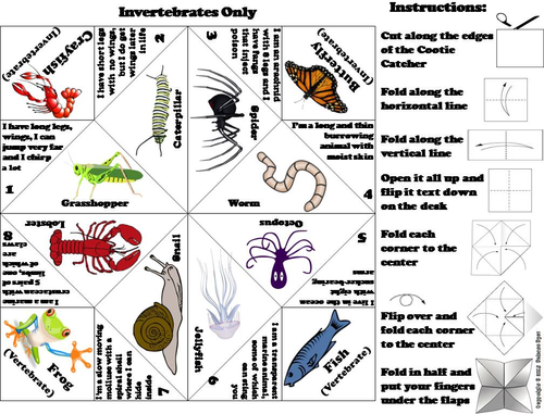 Vertebrates and Invertebrates Cootie Catchers | Teaching Resources