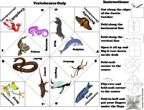 Vertebrates and Invertebrates Cootie Catchers | Teaching Resources