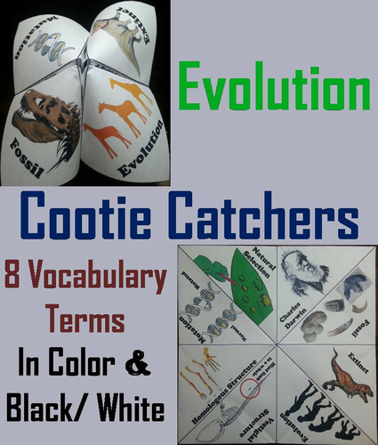 Evolution Task Cards, PowerPoint and Activity Mini Bundle | Teaching ...