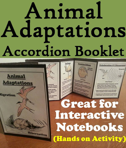 Animal Adaptations Task Cards and Activities Bundle | Teaching Resources