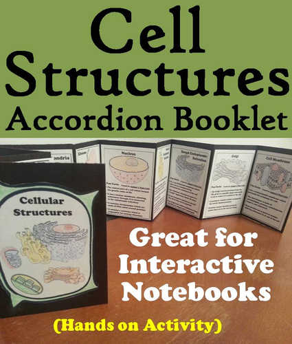 Cell Organelles Task Cards and Activities Bundle | Teaching Resources