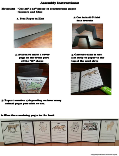Jungle Animals Accordion Booklet | Teaching Resources