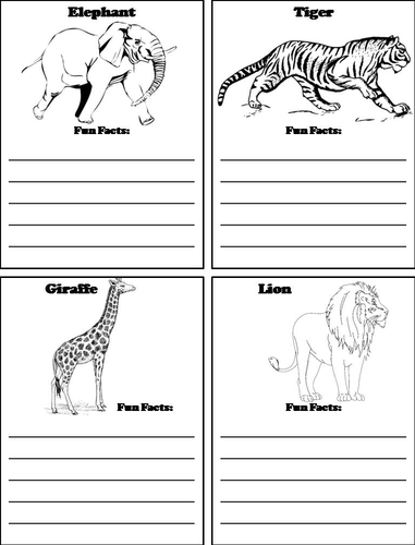 Zoo Animals Accordion Booklet | Teaching Resources