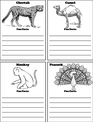Zoo Animals Accordion Booklet | Teaching Resources