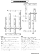 Animal Adaptations Crossword Puzzle | Teaching Resources