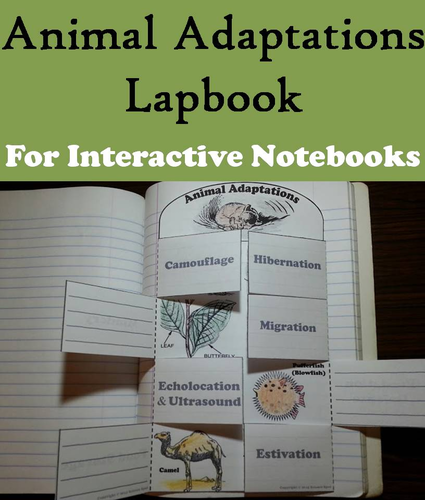 Animal Adaptations Task Cards and Activities Bundle | Teaching Resources