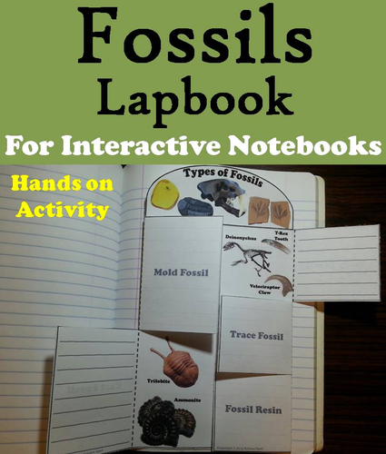 Fossils Task Cards, PowerPoint and Activities Bundle | Teaching Resources