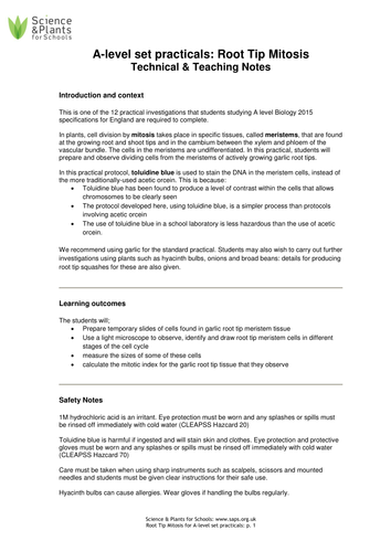 A-level set practicals - root tip mitosis | Teaching Resources