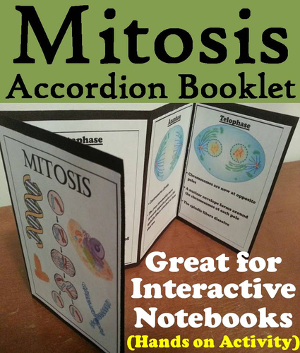 Mitosis | Teaching Resources
