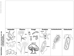Six Kingdoms of Life Fold and learn | Teaching Resources