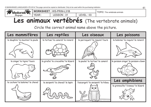FRENCH (UNIT 6: FRIENDS & ACTIVITIES): Year 5/6: The vertebrate and ...