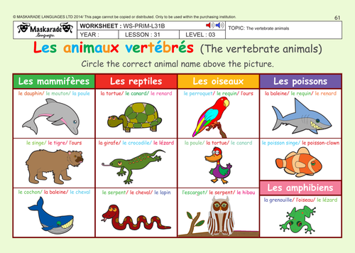 FRENCH (UNIT 6: FRIENDS & ACTIVITIES): Year 5/6: The vertebrate and ...