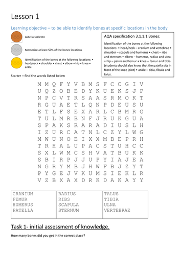 (AQA) GCSE PE 3.1.1.1 Lesson 1 Bone names and locations | Teaching ...