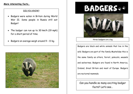 Information leaflet on foxes with example on badgers - planning and ...