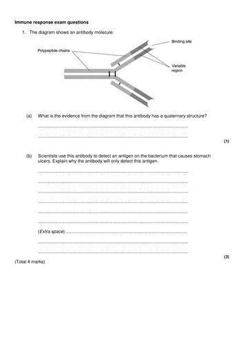 Revision bundle A level Biology | Teaching Resources