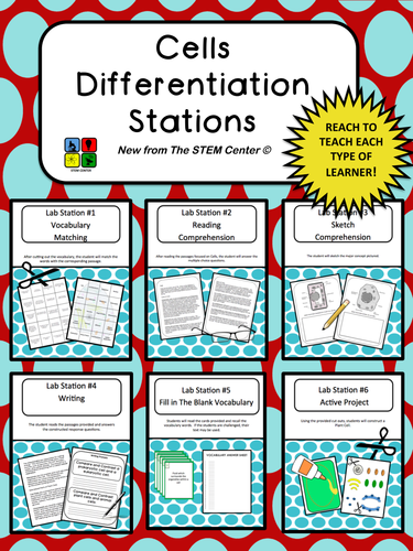 Science Differentiation Stations Bundle! | Teaching Resources