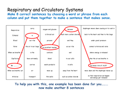 SCIENCE Literacy Sentence Constructions | Teaching Resources