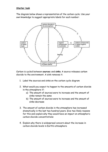 Carbon cycle revision | Teaching Resources