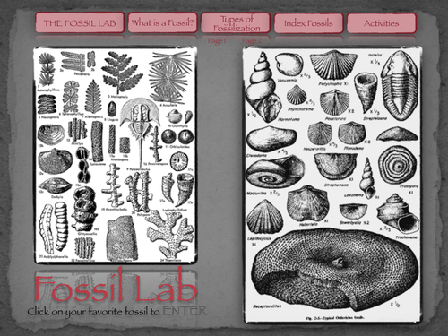 The Fossil Lab Interactive | Teaching Resources