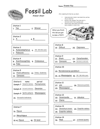 The Fossil Lab Interactive | Teaching Resources