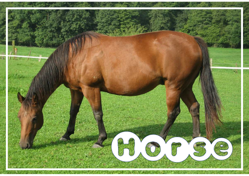 200+ A4 STORY STARTERS- WRITING INSPIRATION LITERACY KEY STAGE 1 2 3 4 ...