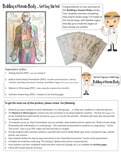 Building a Human Body BUNDLE | Teaching Resources