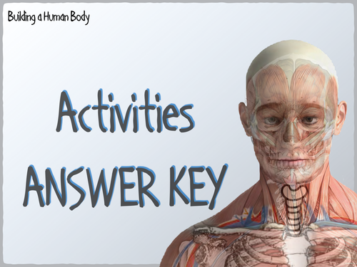 Building a Human Body BUNDLE | Teaching Resources