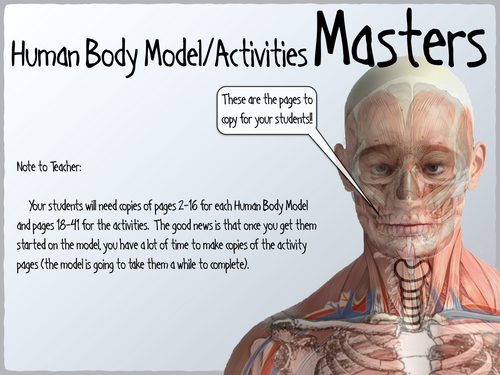 Building a Human Body BUNDLE | Teaching Resources