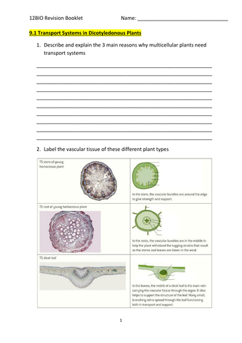 OCR A-Level Biology Revision | Teaching Resources