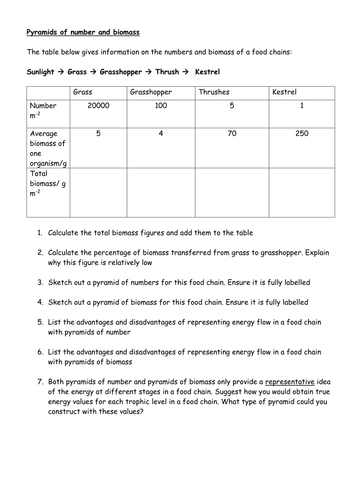 Pyramids of number and biomass | Teaching Resources