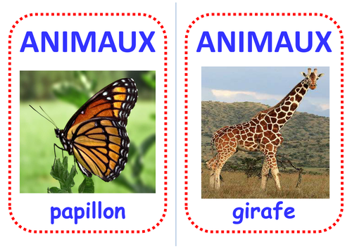 FRENCH TEACHING RESOURCES display posters flashcards colours food ...