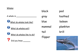 Non chronological report on whales | Teaching Resources