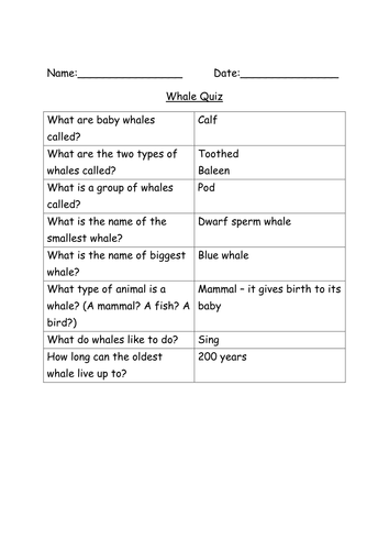 Non chronological report on whales | Teaching Resources