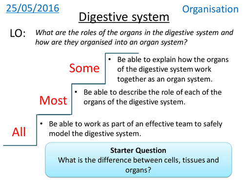 Human digestive system - NEW GCSE | Teaching Resources
