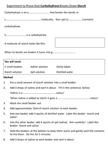Human digestive enzymes (& food tests) - NEW GCSE | Teaching Resources