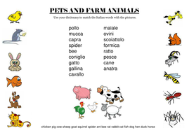 ITALIAN LANGUAGE RESOURCES -DISPLAY FLASHCARDS POSTERS WORKSHEET GAMES ...