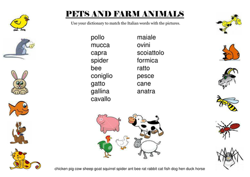 ITALIAN LANGUAGE RESOURCES -DISPLAY FLASHCARDS POSTERS WORKSHEET GAMES ...