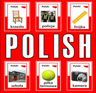 POLISH AND ENGLISH FLASHCARDS LANGUAGE RESOURCES DISPLAY KEY STAGE 1-4 ...