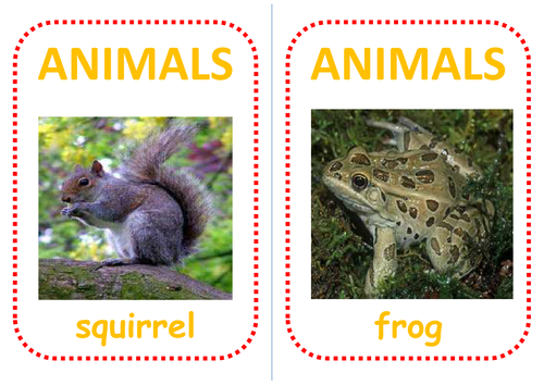 200 ANIMAL FLASH CARDS SCIENCE DISPLAY TEACHING RESOURCE EARLY YEARS ...