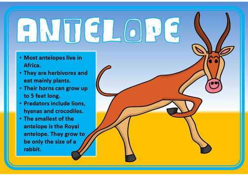 50 A4 ANIMAL FACTS POSTERS -DISPLAY EARLY YEARS KS1 SCIENCE | Teaching ...