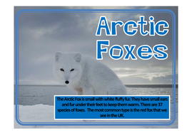 ARCTIC EXPLORERS RESOURCES LITERACY EYFS KS 1-2 ANIMALS ROLE PLAY ...