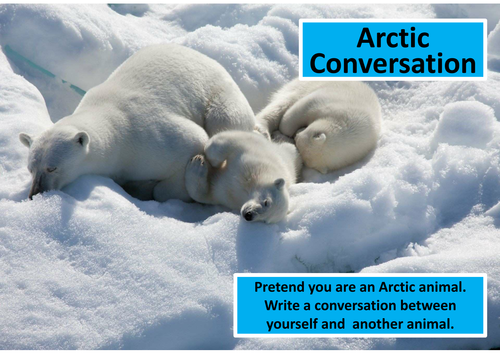 ARCTIC EXPLORERS RESOURCES LITERACY EYFS KS 1-2 ANIMALS ROLE PLAY ...